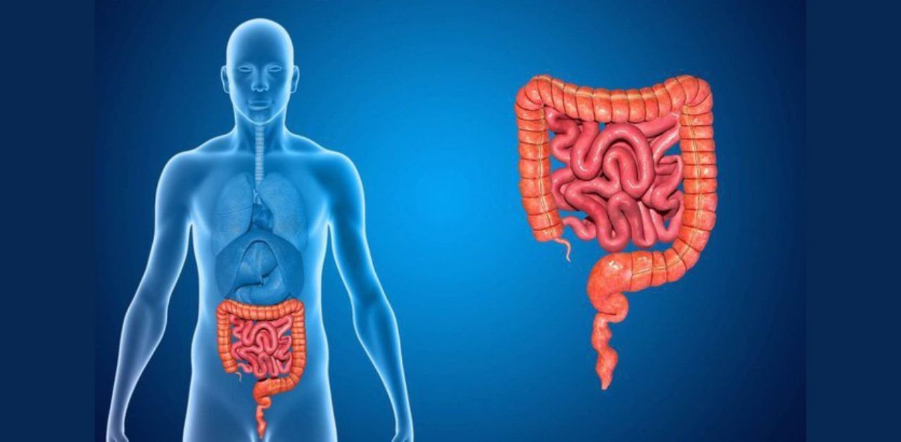 Định nghĩa u gist là gì và ứng dụng trong nghiên cứu khoa học